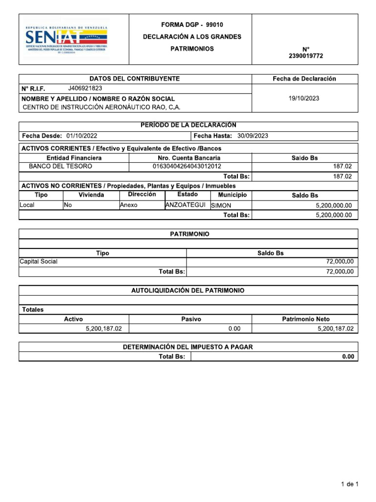Declaracion Igp 2023 | PDF