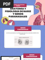 Nariz y senos paranasales | PDF | Nariz humana | Rinología