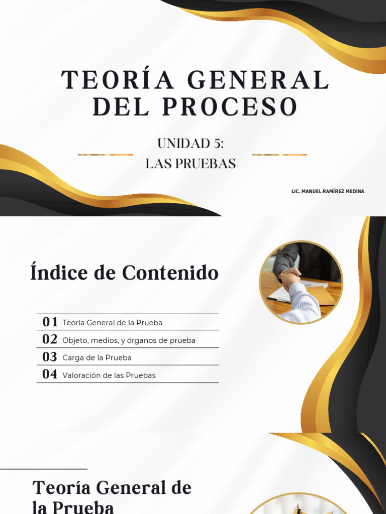 Unidad 5. Pruebas | PDF | Ley procesal | Juez