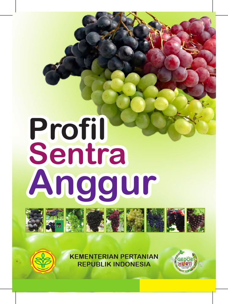 Buku Profil Anggur - Compressed | PDF