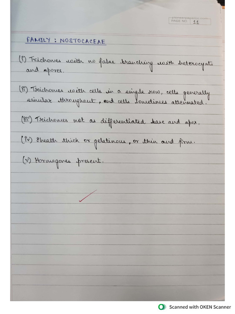 Algae Practical | PDF