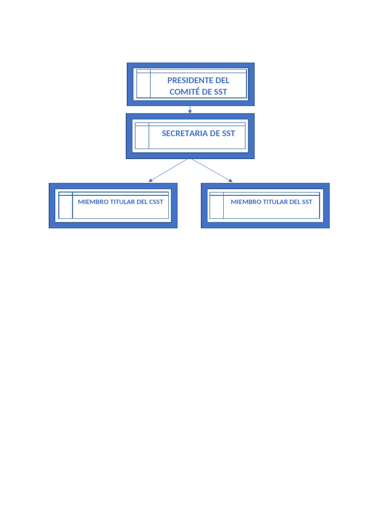 Presidente Del Comité de SST: Miembro Titular Del SST Miembro Titular ...