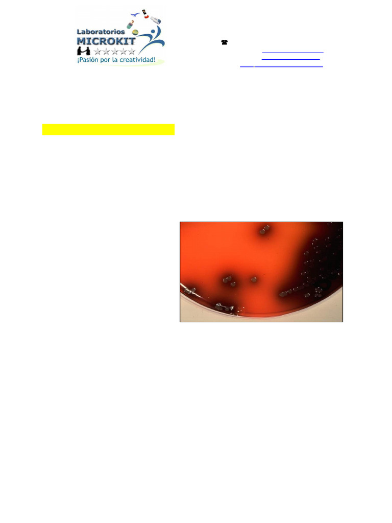 Listeria Palcam Agar | PDF