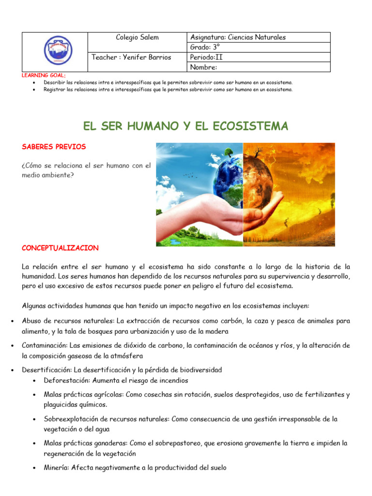 12 Y 13 Ecosistemas y El Ser Humano 3º | PDF | Deforestación | Suelo