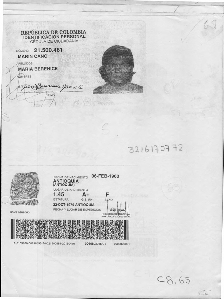 Canitas Alegres | PDF