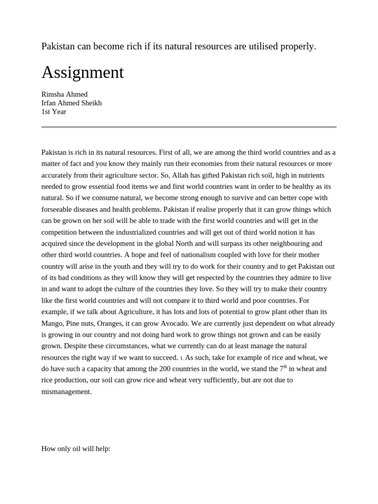 Assignment Pakistan Studies | PDF | Petroleum | Ore