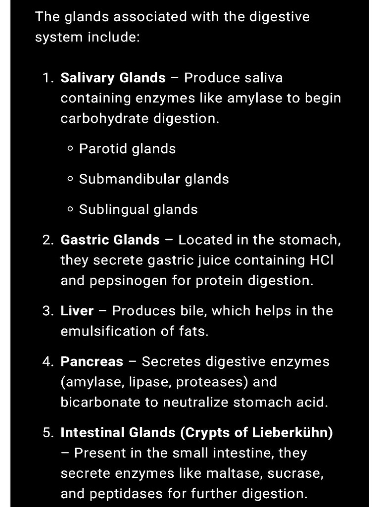 Digestive Gland | PDF