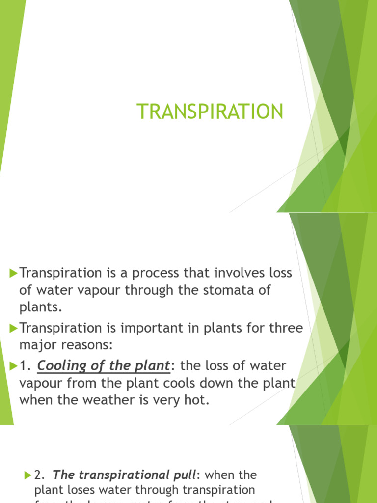 Transpiration and Water Movement | PDF | Stoma | Leaf