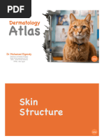 Pruritus Analog Scale 1 PVAS | PDF