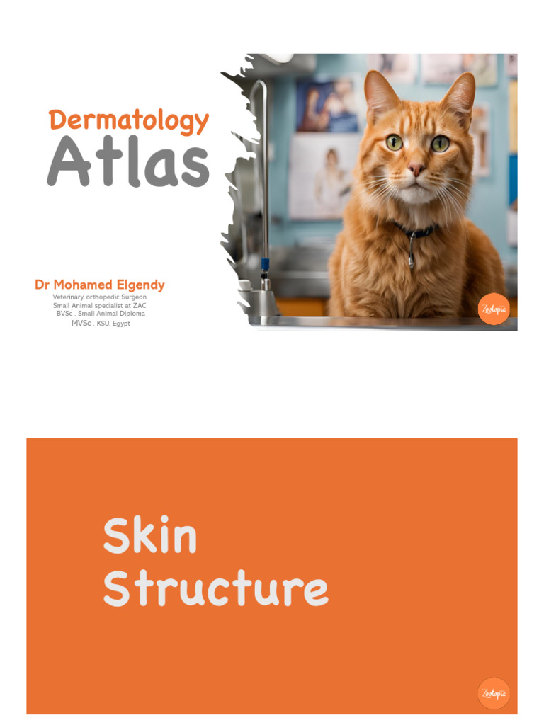 Dermatology Atlas - Dr Mohamed Elgendy | PDF | Epidermis | Organ (Anatomy)