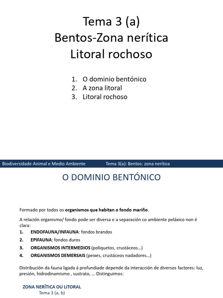 Tema 3 (A) - Bentos Litoral Rochoso | PDF