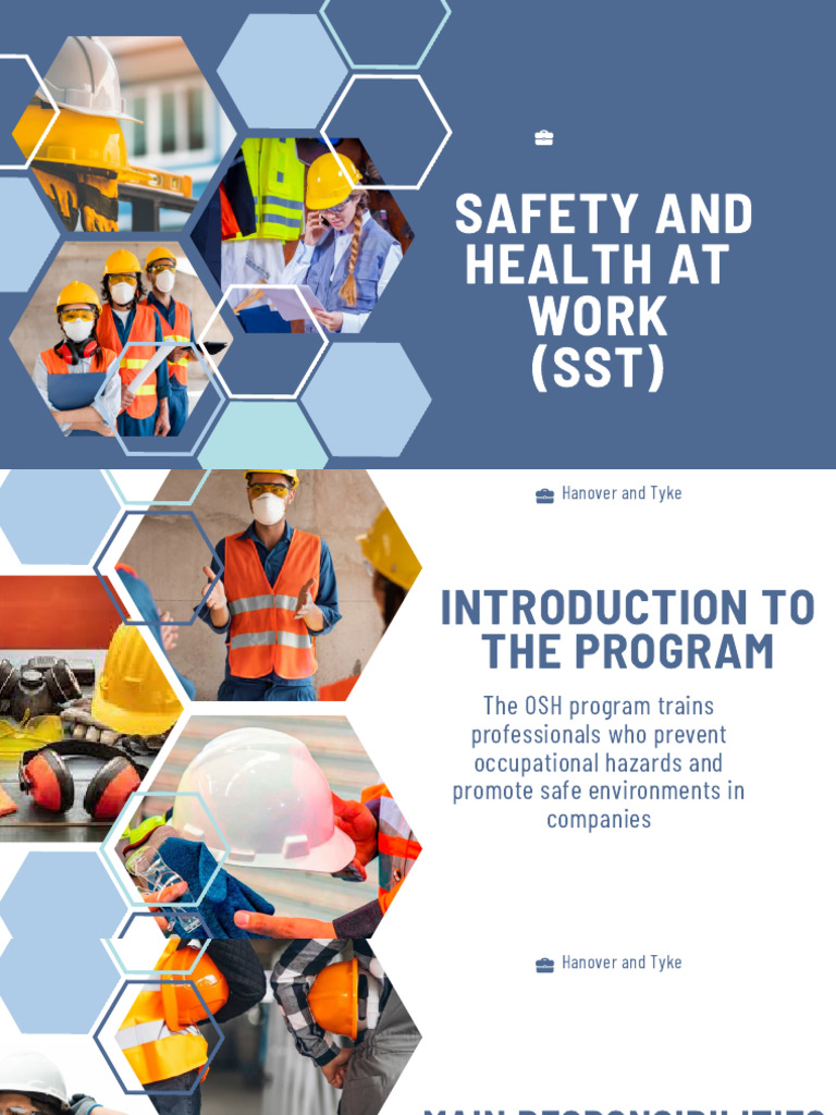 Workplace Safety and Health Program | PDF