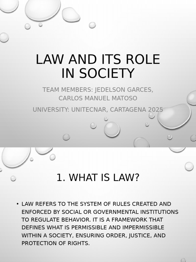 Law Presentation 2025 | PDF