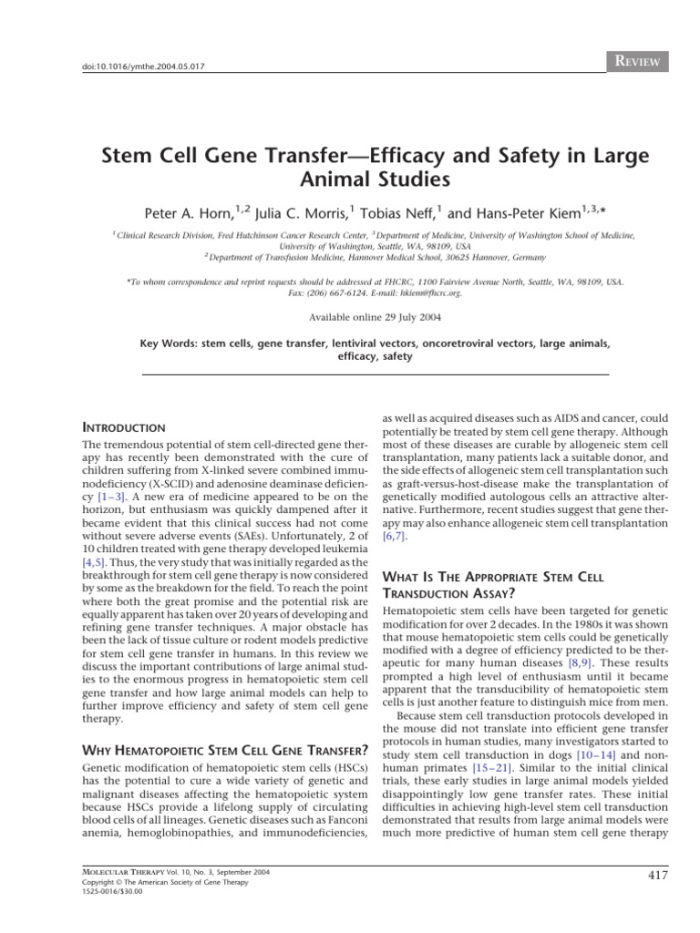 Stem Cells And Gene Transfer Pdf Viral Vector Gene Therapy