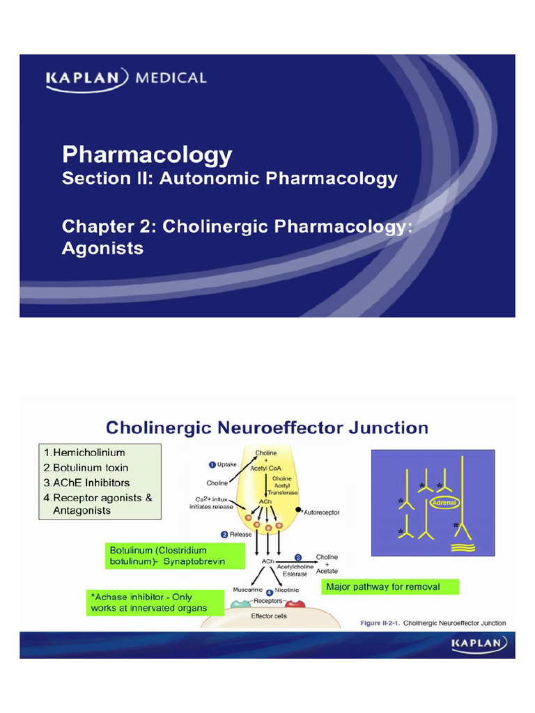 Pharmacology - Sec. II - Chapter 2 Cholinergic Pharmacology - Cholinergic Pharmacology Agonists ...