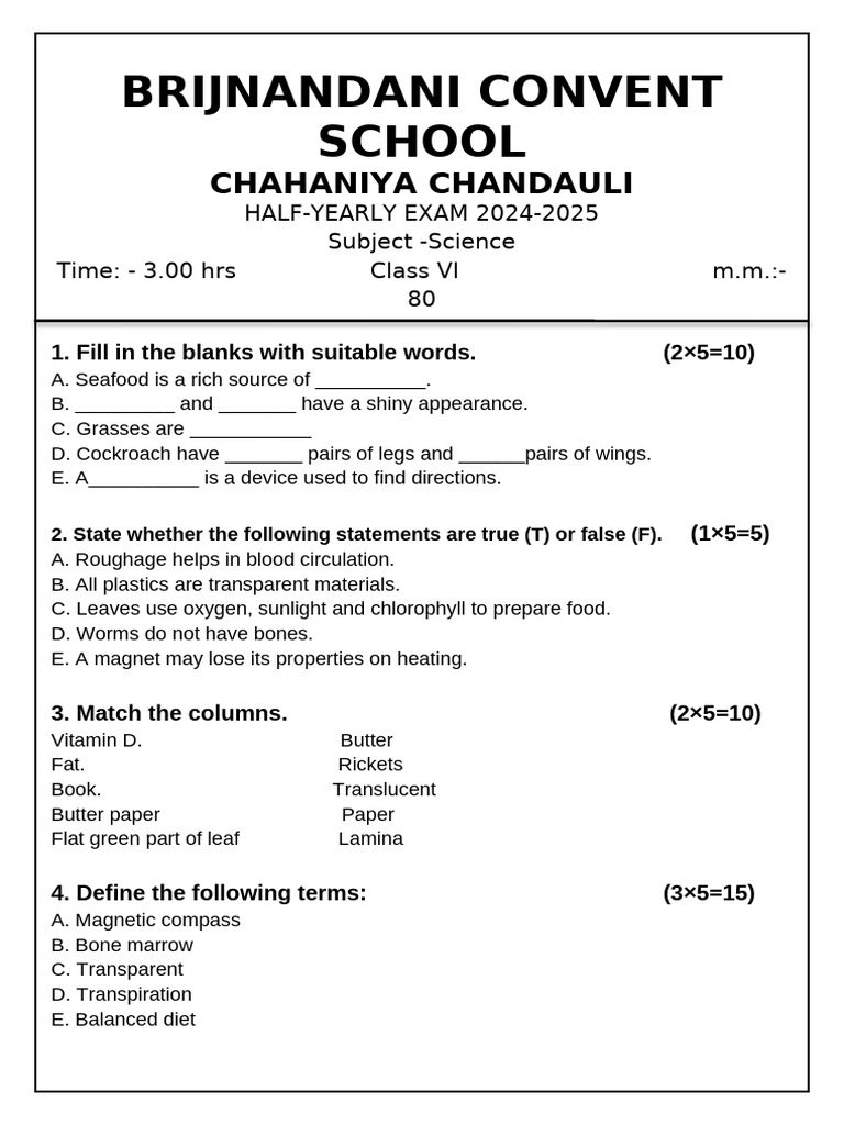 Class 6th Science Half Yearly 2024-25 | PDF