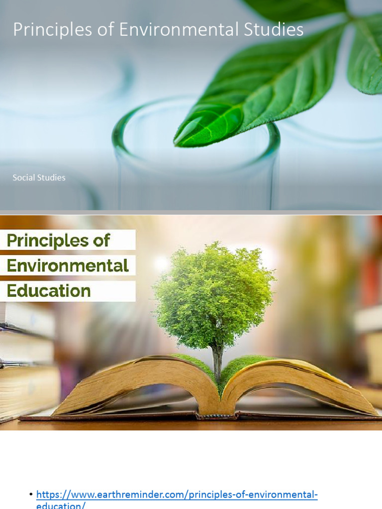 Tbilisi Declaration: Environmental Education Principles | PDF | Natural ...