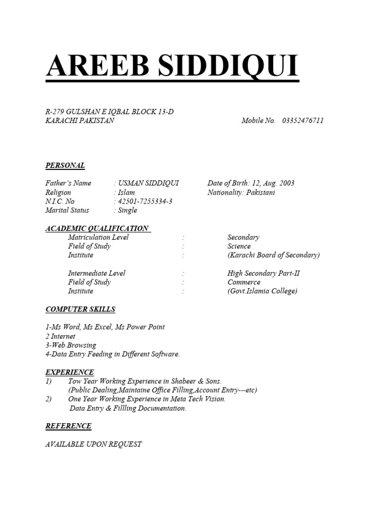 Areeb CV | PDF