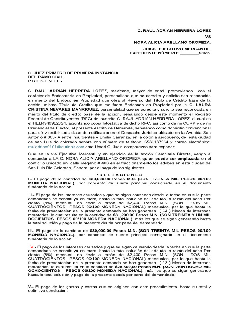 Nora Alicia VS Raul Adrian1 | PDF | Instrumento negociable | Demanda judicial
