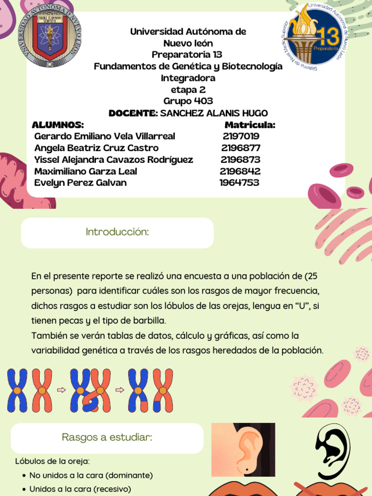 Equipo Integradora Fungyb | PDF | Alelo | Dominancia (Genética)