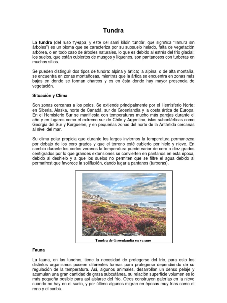 La vida en la tundra: un ecosistema único definido por el clima extremo ...