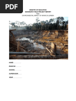 Grade 12 Project on Deforestation in Zambia | PDF | Ecosystem ...