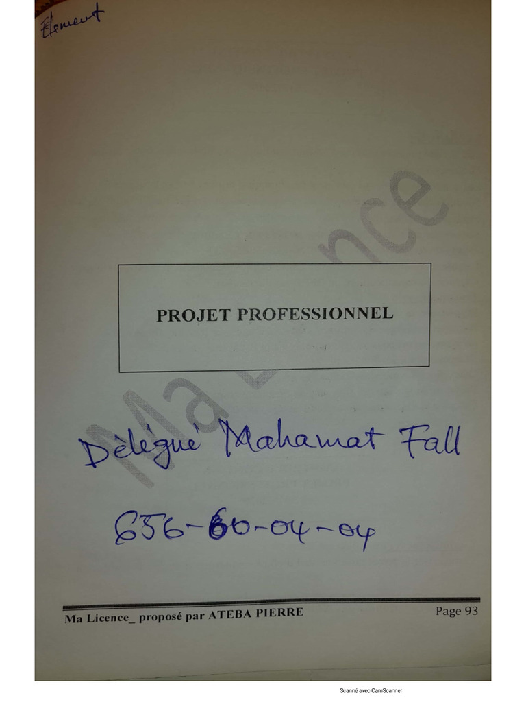 Fax Projet Professionnel - Délégué Mahamat Fall | PDF