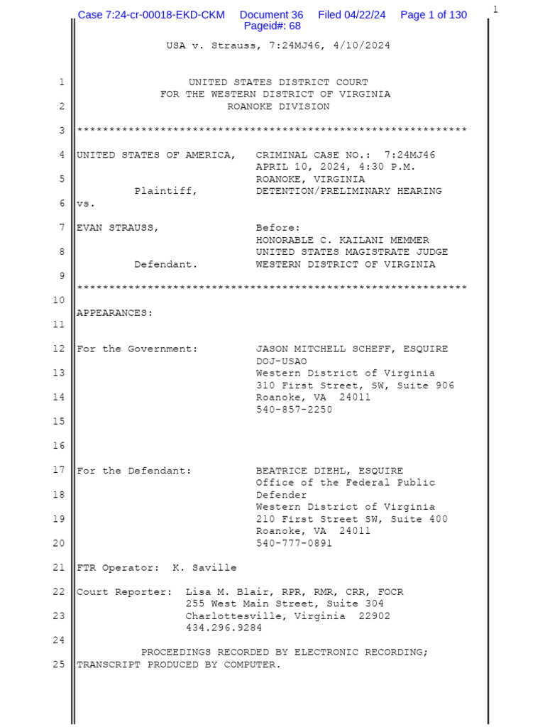 Evan Strauss Preliminary and Detention Hearing Transcript | PDF | Justice | Crime & Violence