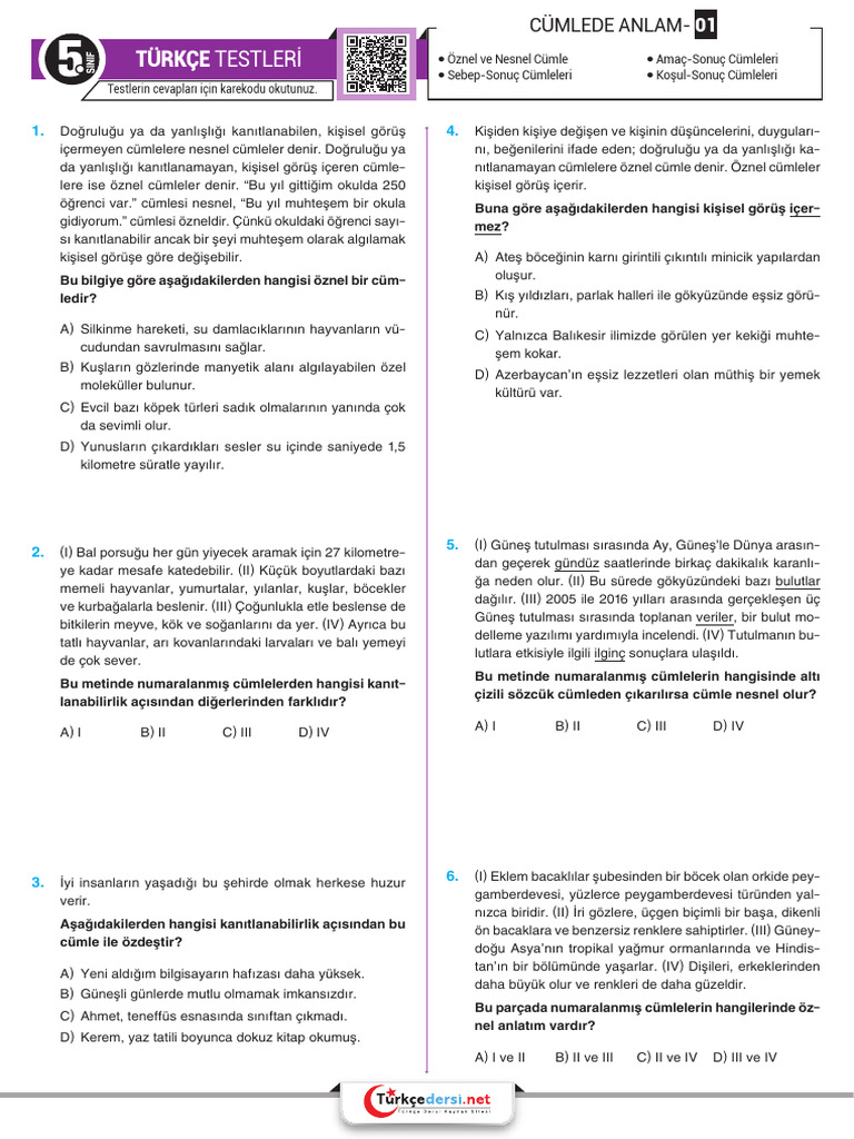 Sinif Indirilebilir Testler Cumlede Anlam 01 | PDF