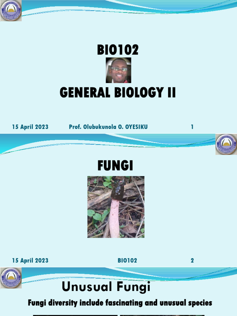 412 COURSES General Biology II Fungi 14274 | PDF | Fungus | Sexual ...