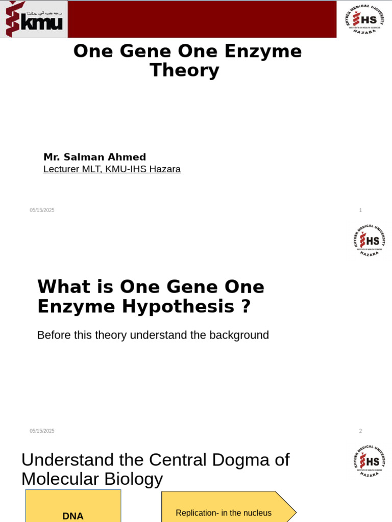 Lecture 2 One Gene One Enzyme Theory | PDF | Gene | Nucleic Acids