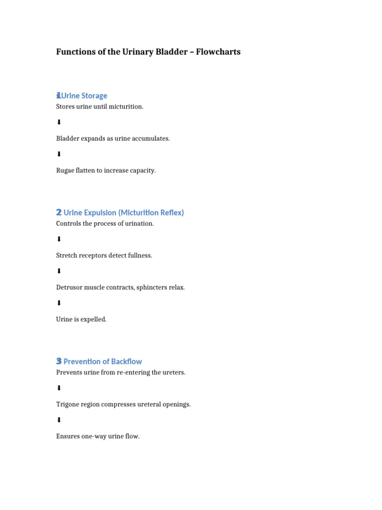 Urinary Bladder Functions Concise Flowcharts | PDF