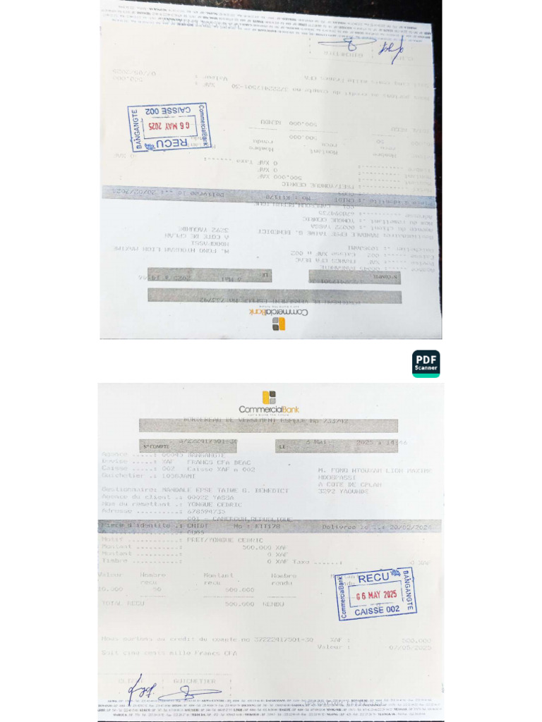 ACE Scanner_2025_05_06 | PDF