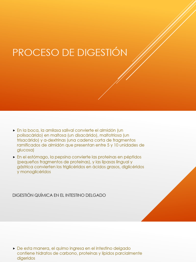 Proceso de Digestión | PDF | Digestión | Bilis
