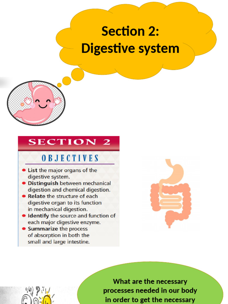 Schools Sama-American-School Courses Biology Materials 2025 May Week-1 ...