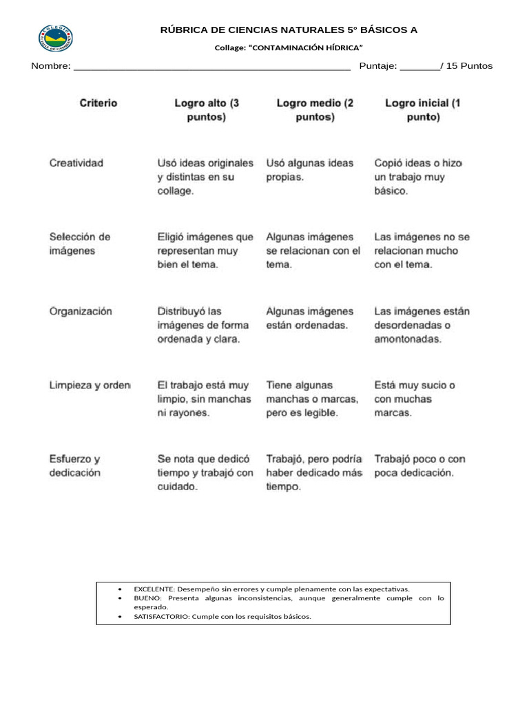 Rúbrica de Ciencias Naturales 6tos Afiche | PDF