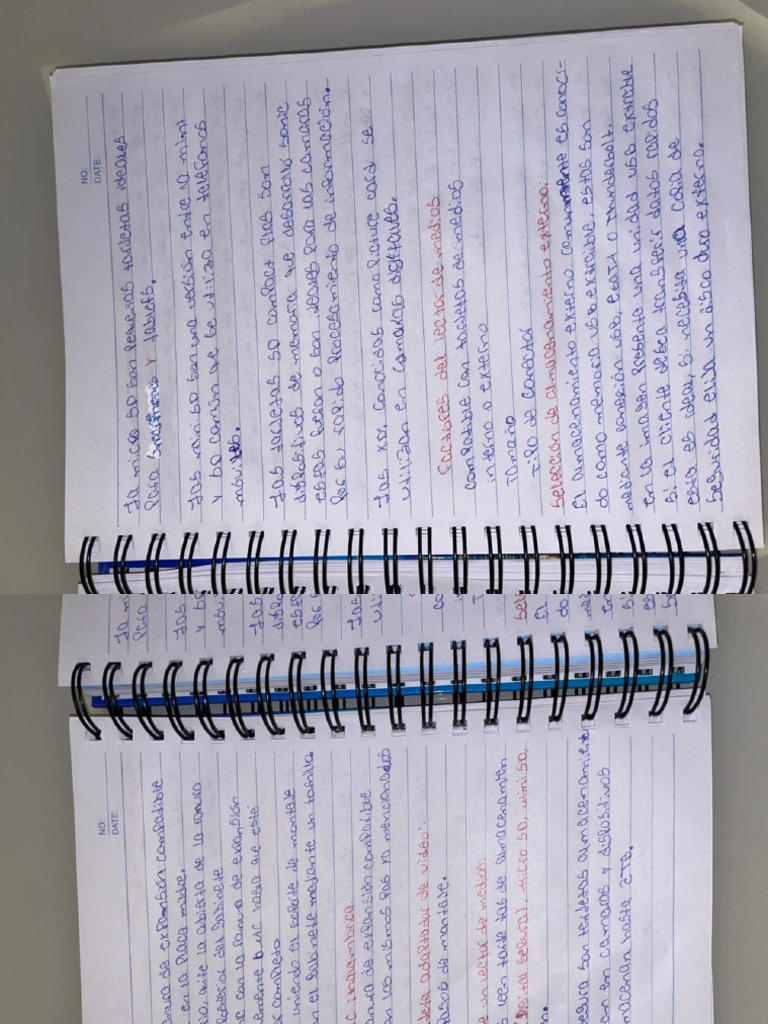 Capitulo 2 Resumen | PDF