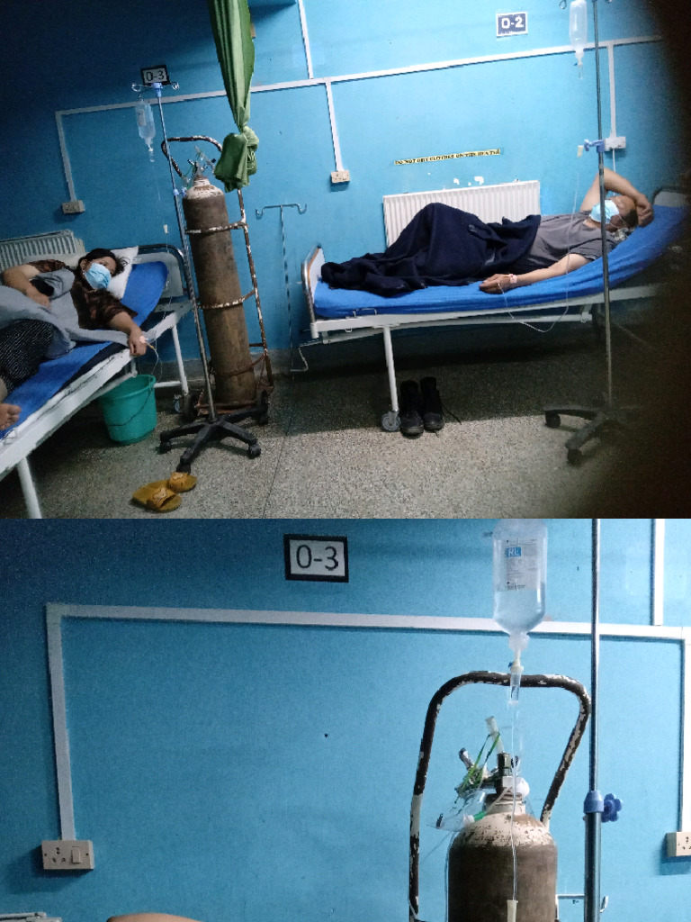 Mentee Profile | PDF