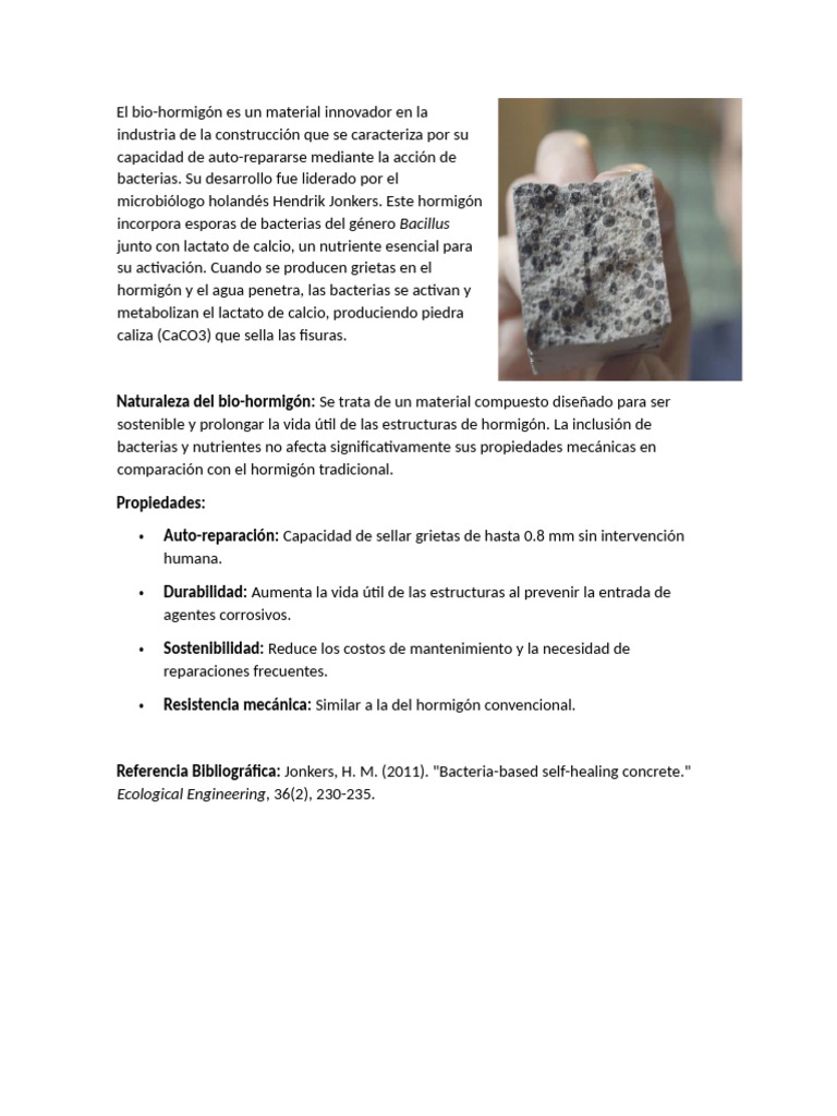 bioHormigon | PDF
