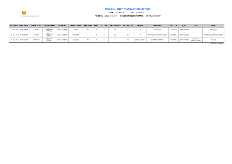 Momo Statement Report | PDF
