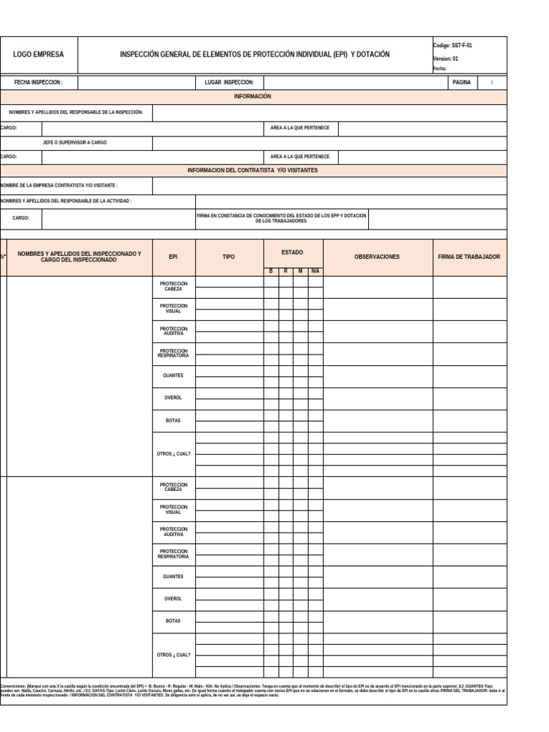 Inspeccin de Elementos de Proteccion Personal EPP y Programa Mensual | PDF