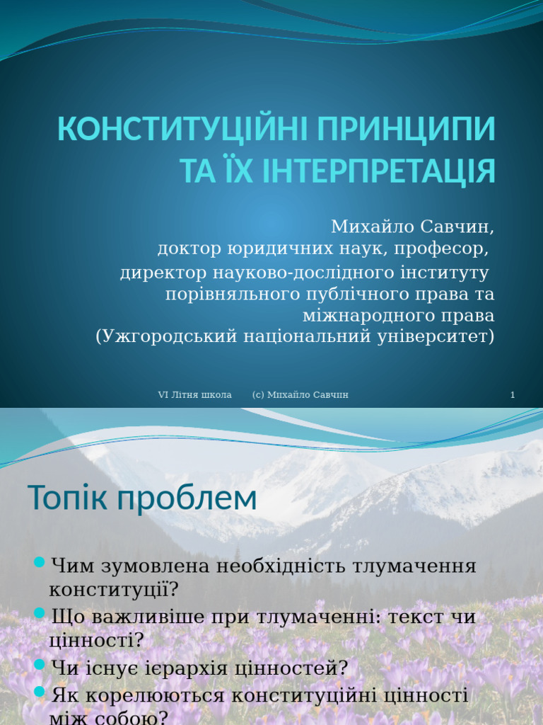 Savchyn VIthSSch ContPrinc&Interpr'n | PDF