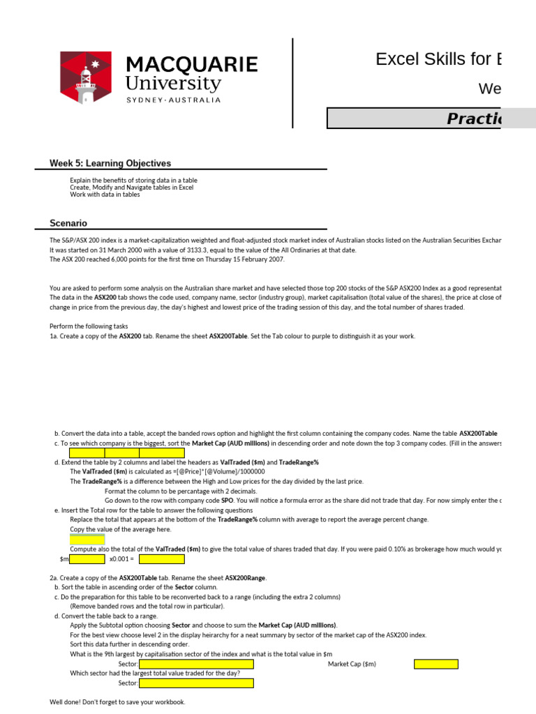 C2 W5 Practice Challenge | PDF | Microsoft Excel | Companies