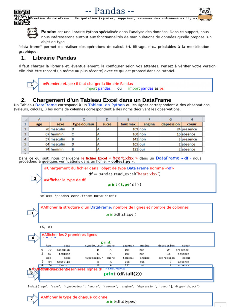 Manipulations de données avec Pandas | PDF | Microsoft Excel | Informatique
