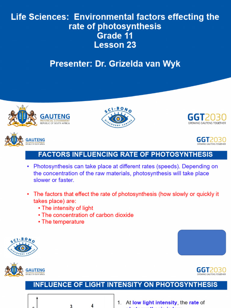 Life Sciences Gr.11 Lesson 23 Photosynthesis Environmental Factors ...