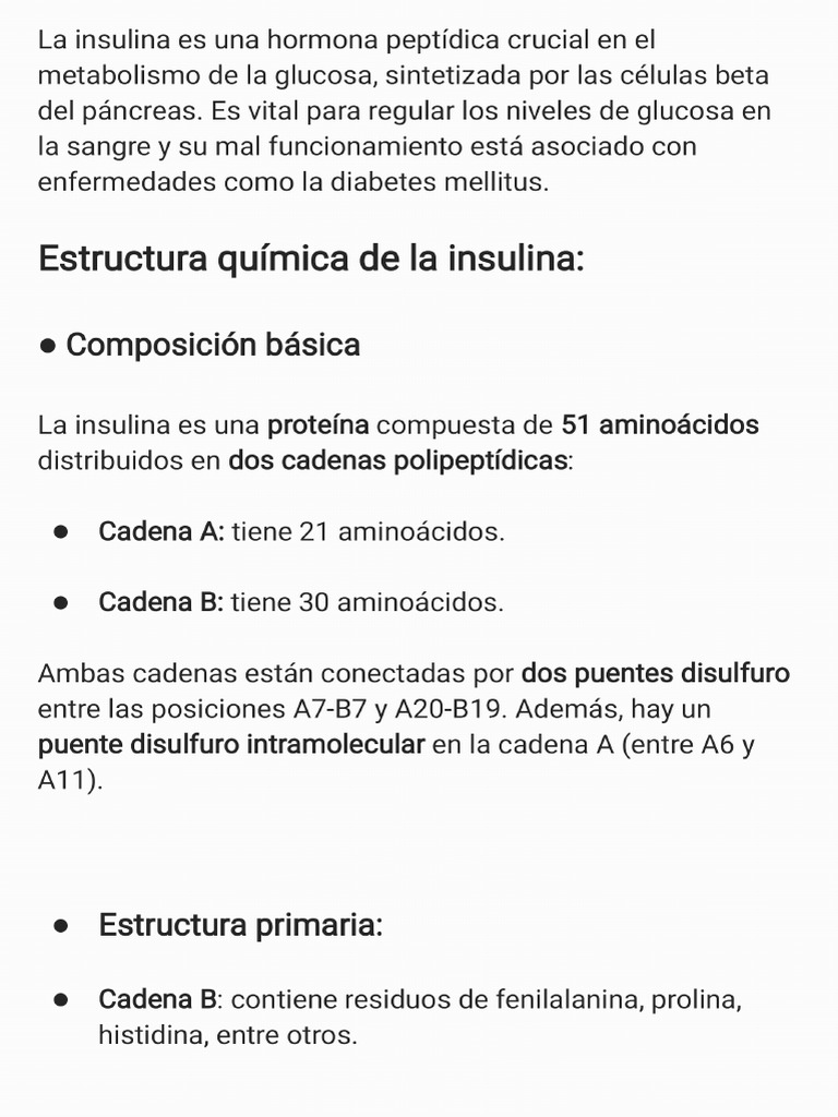 Estructura Química de La Insulina | PDF