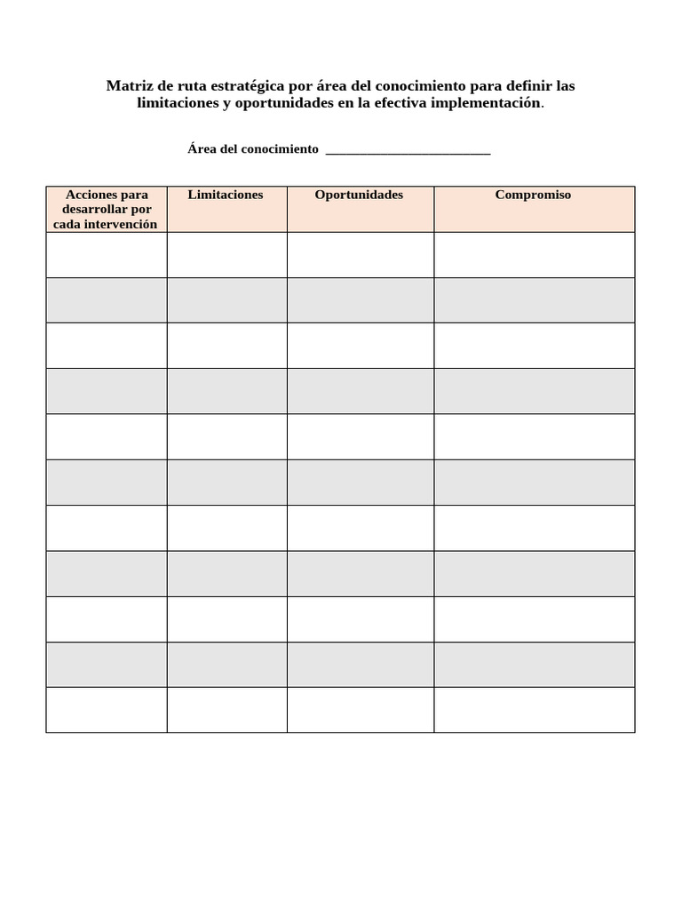 Matriz Hoja de Ruta | PDF