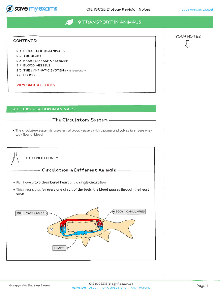 CIE IGCSE Biology 9 RN Sample | PDF | Heart Valve | Circulatory System