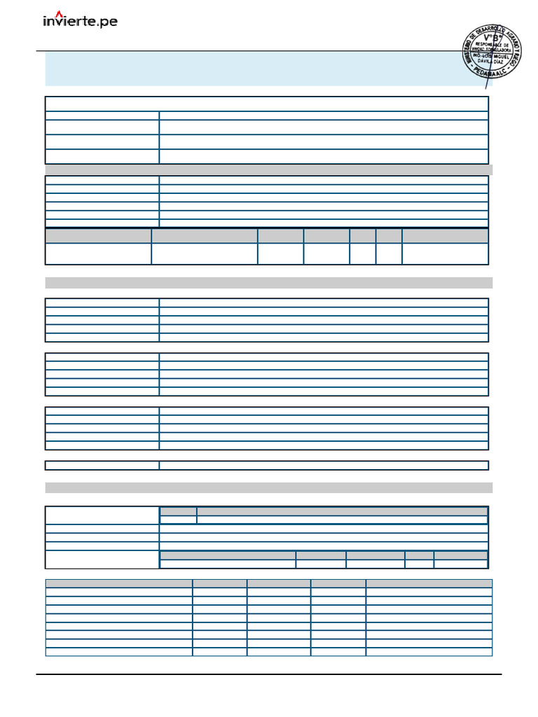 Formato 07A - Platano Condorcanqui | PDF | Economias | Inversiones