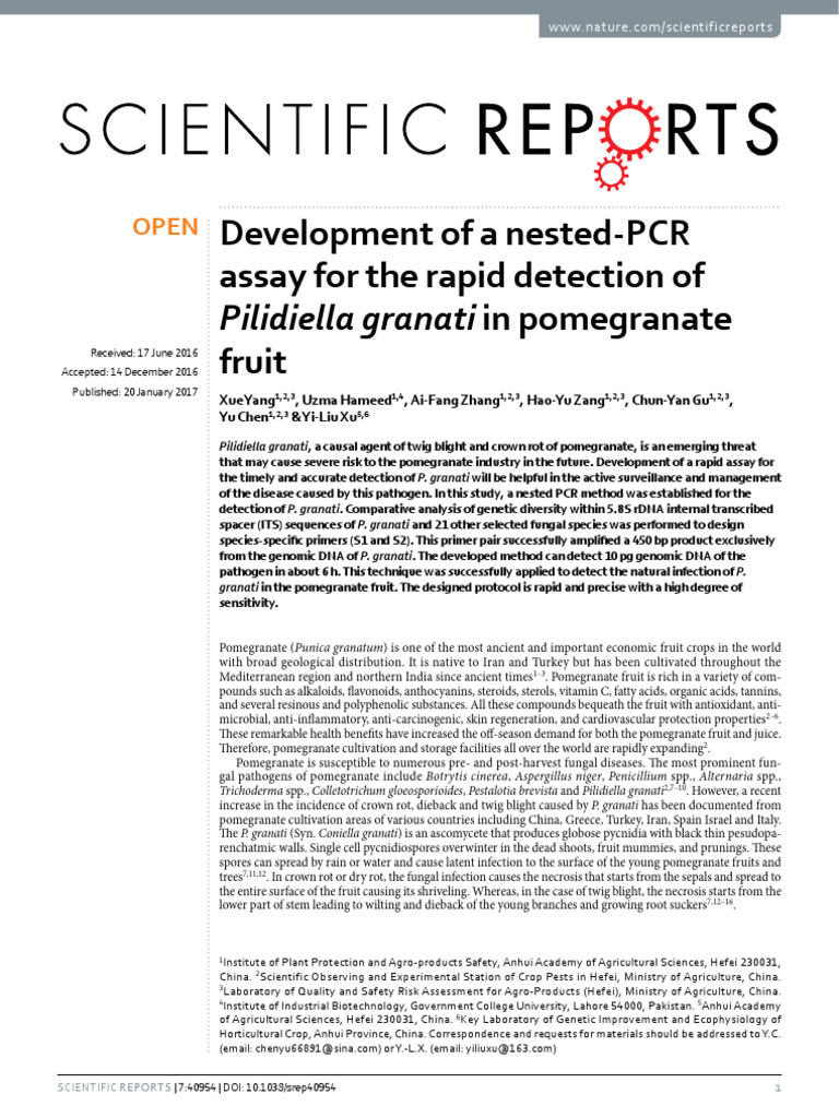 Development_of_a_nested-PCR_assay_for_the_rapid_de | PDF | Polymerase ...